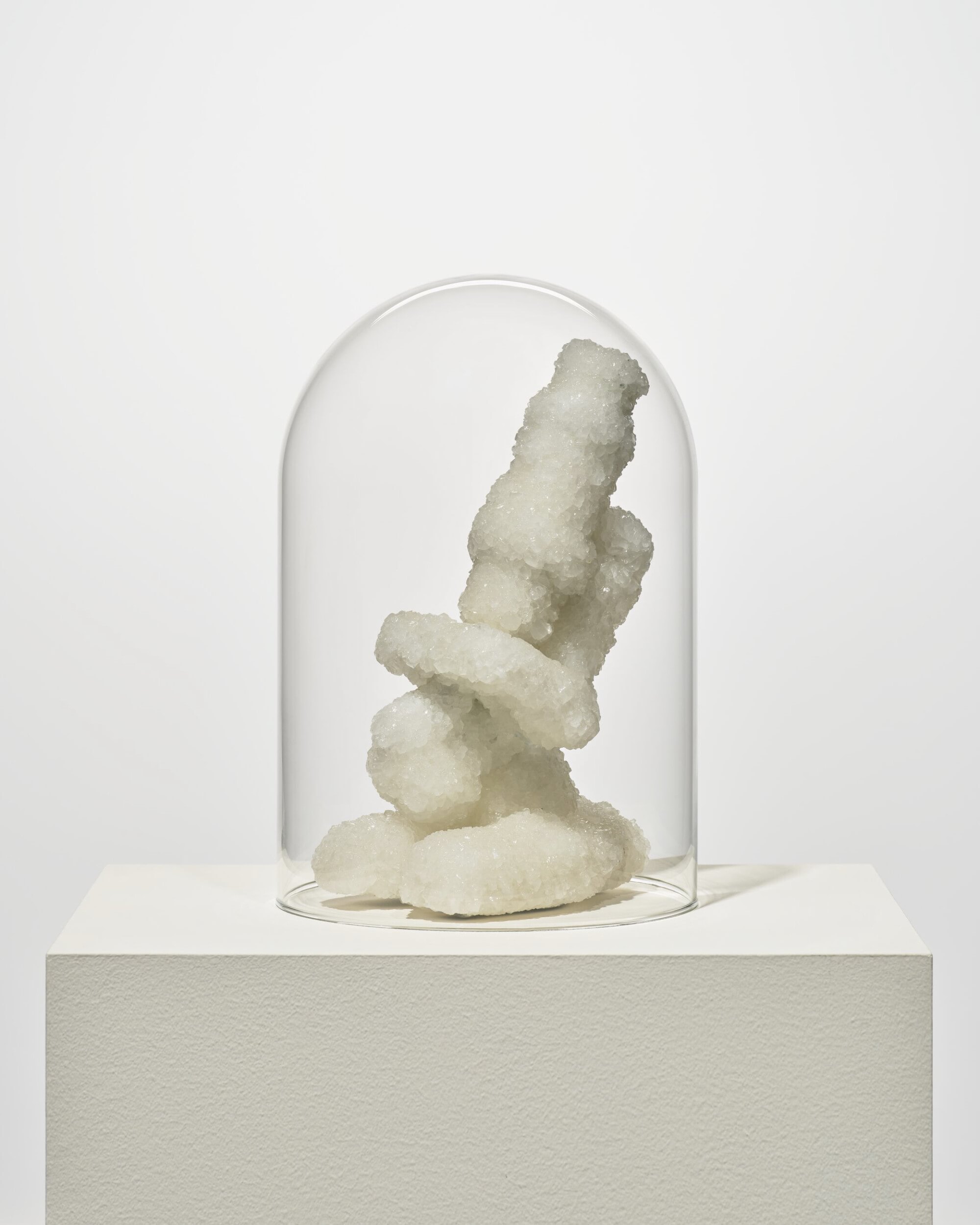 Max Hooper Schneider: Carnival of Gestation | UCCA Center for ...