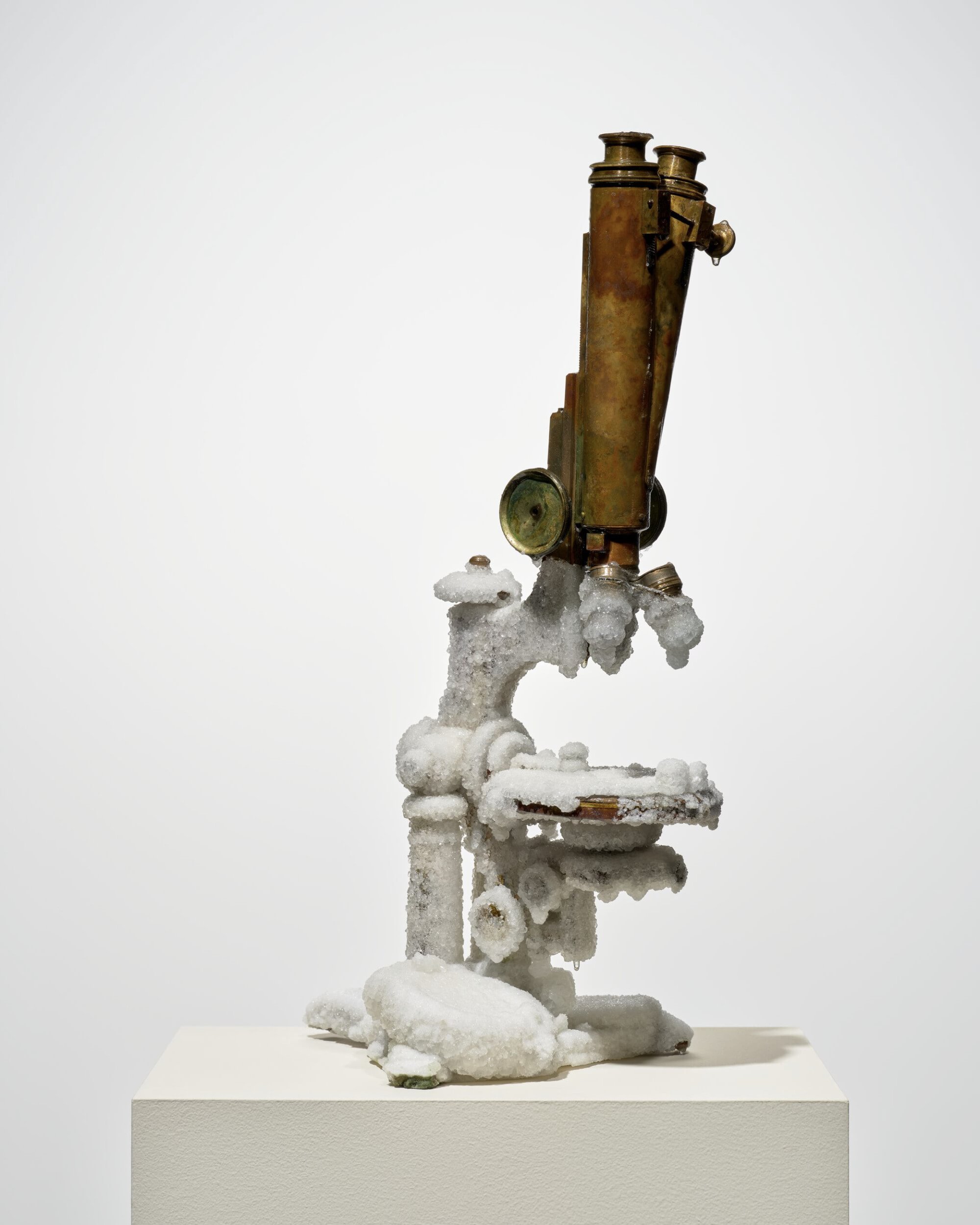 Max Hooper Schneider: Carnival of Gestation | UCCA Center for ...