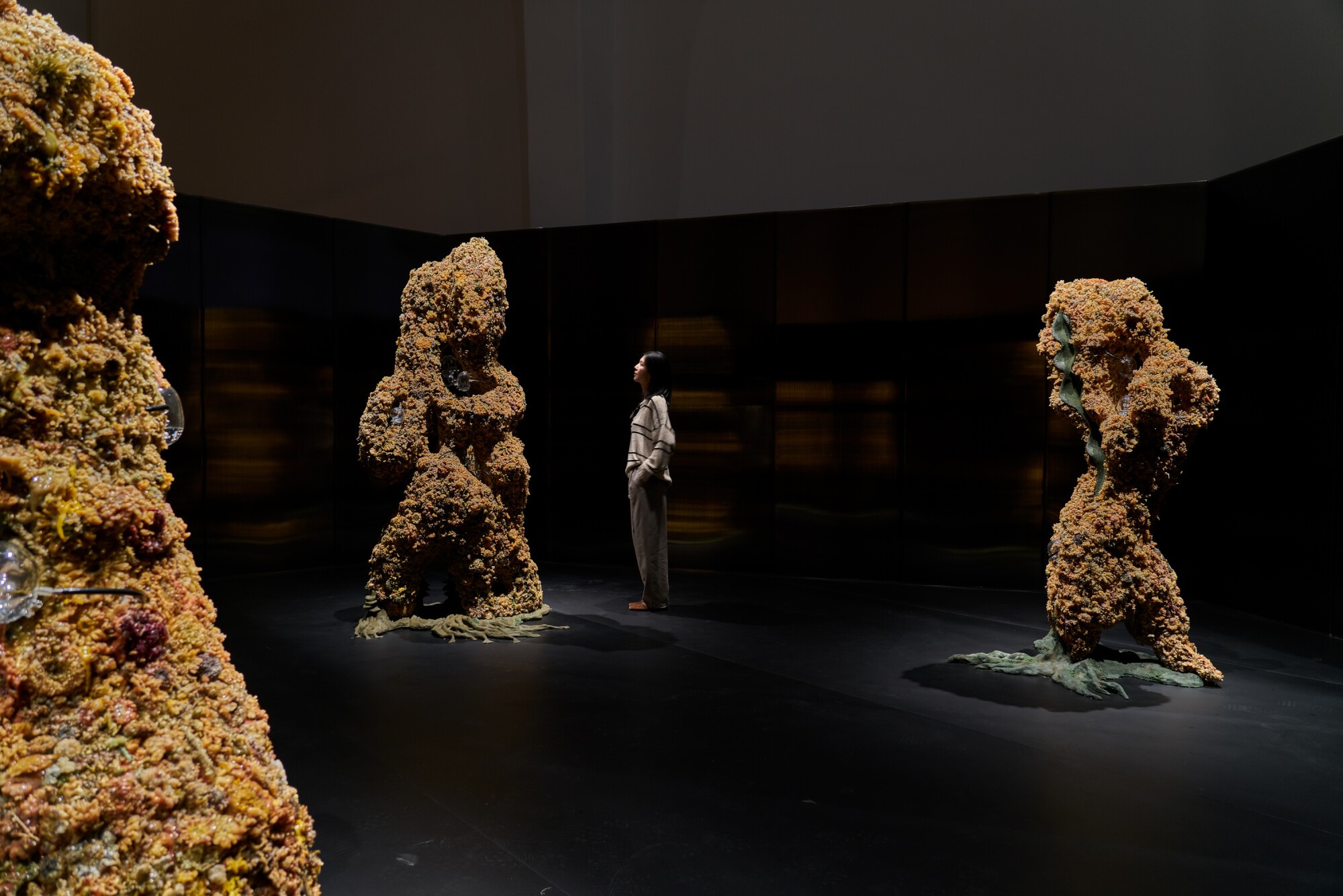 安妮卡·易：另一种进化 | UCCA尤伦斯当代艺术中心