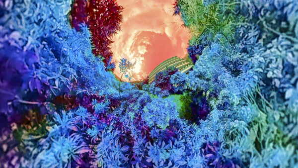 “Pipilotti Rist: Your Palm is My Universe” Exhibition SeriesPublic ...